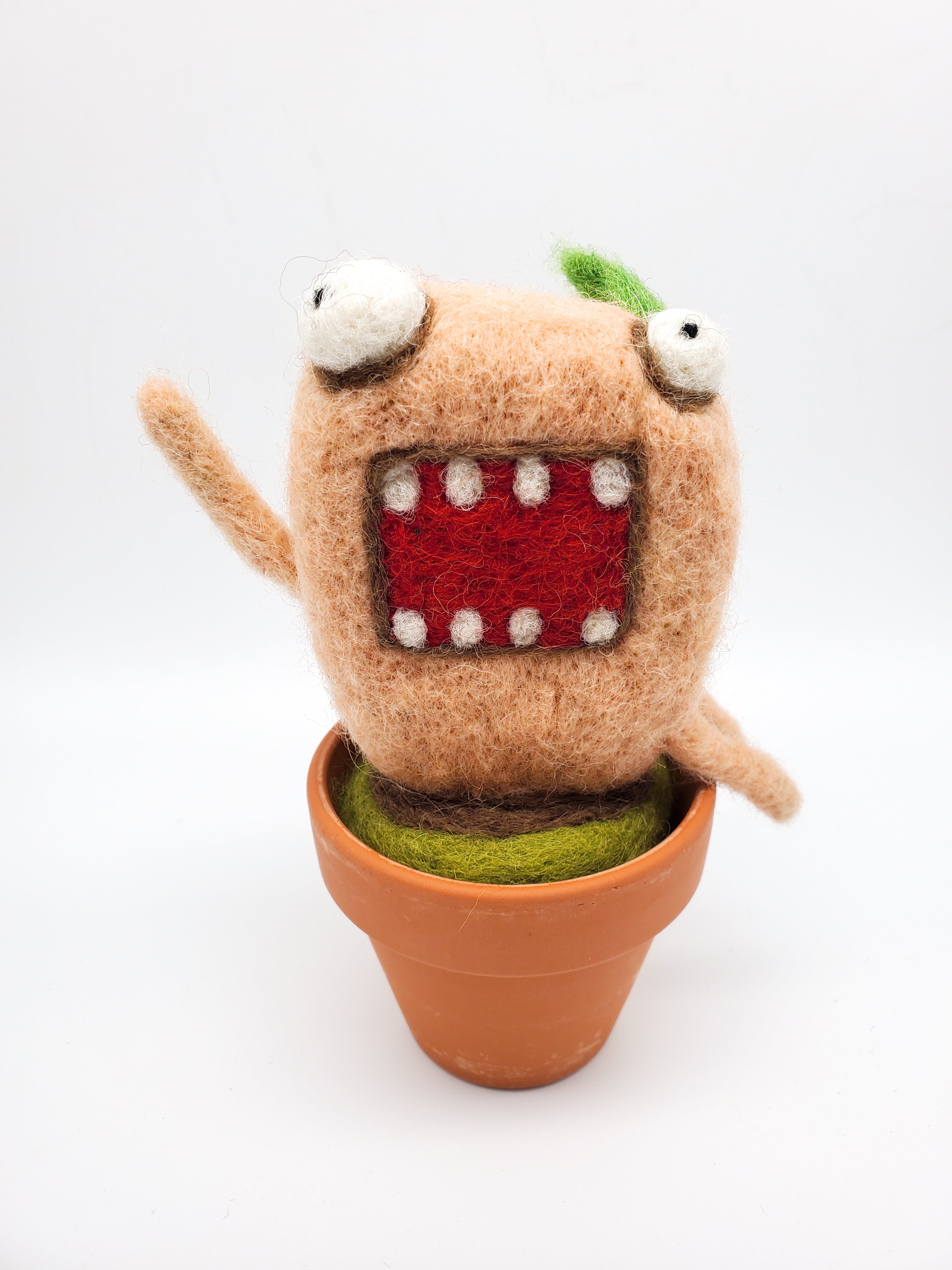Domo - Felted Monster Plants – leroysplace