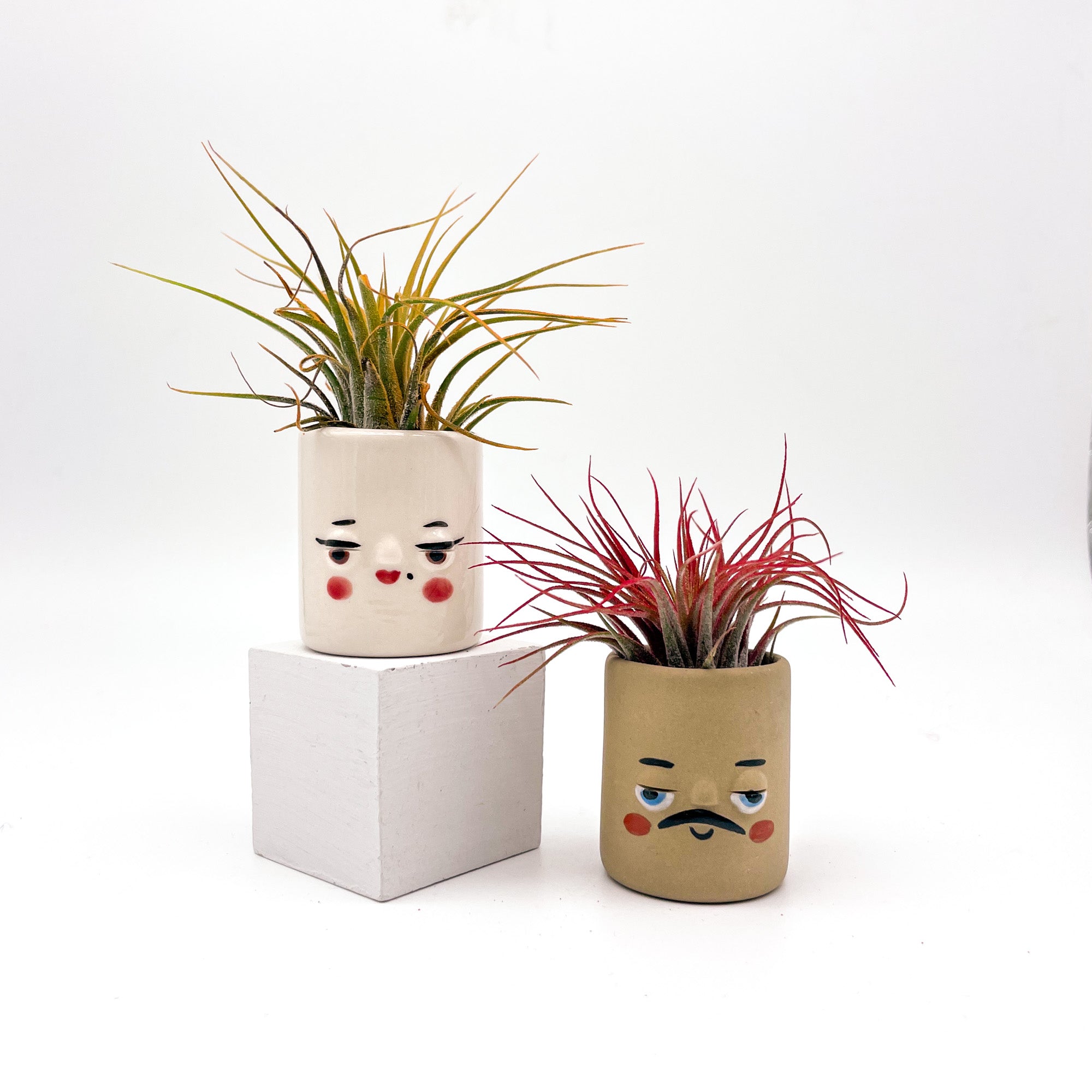 Tiny Friends - Mini Ceramic Planters – leroysplace