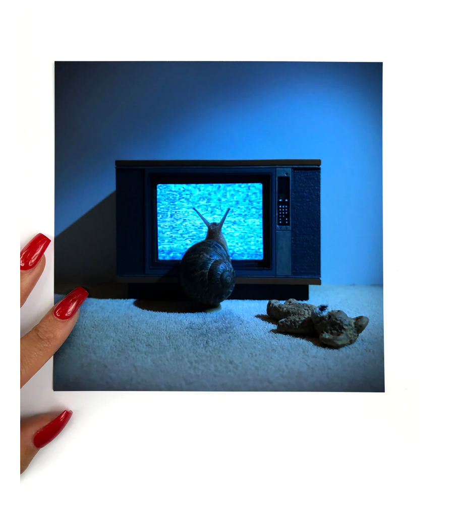 Horror Snails - 6x6 Art Prints – leroysplace